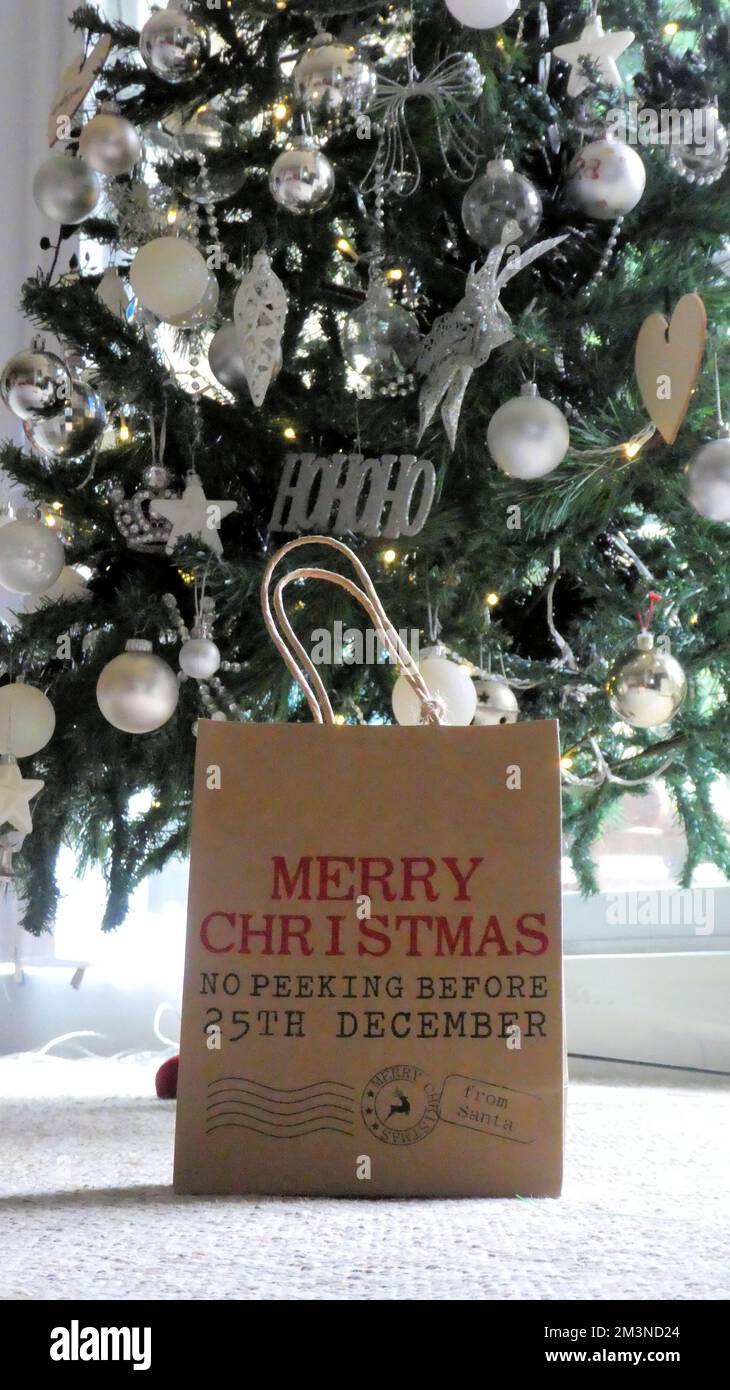 paper bag gift under Christmas tree with white and silver ornaments ...