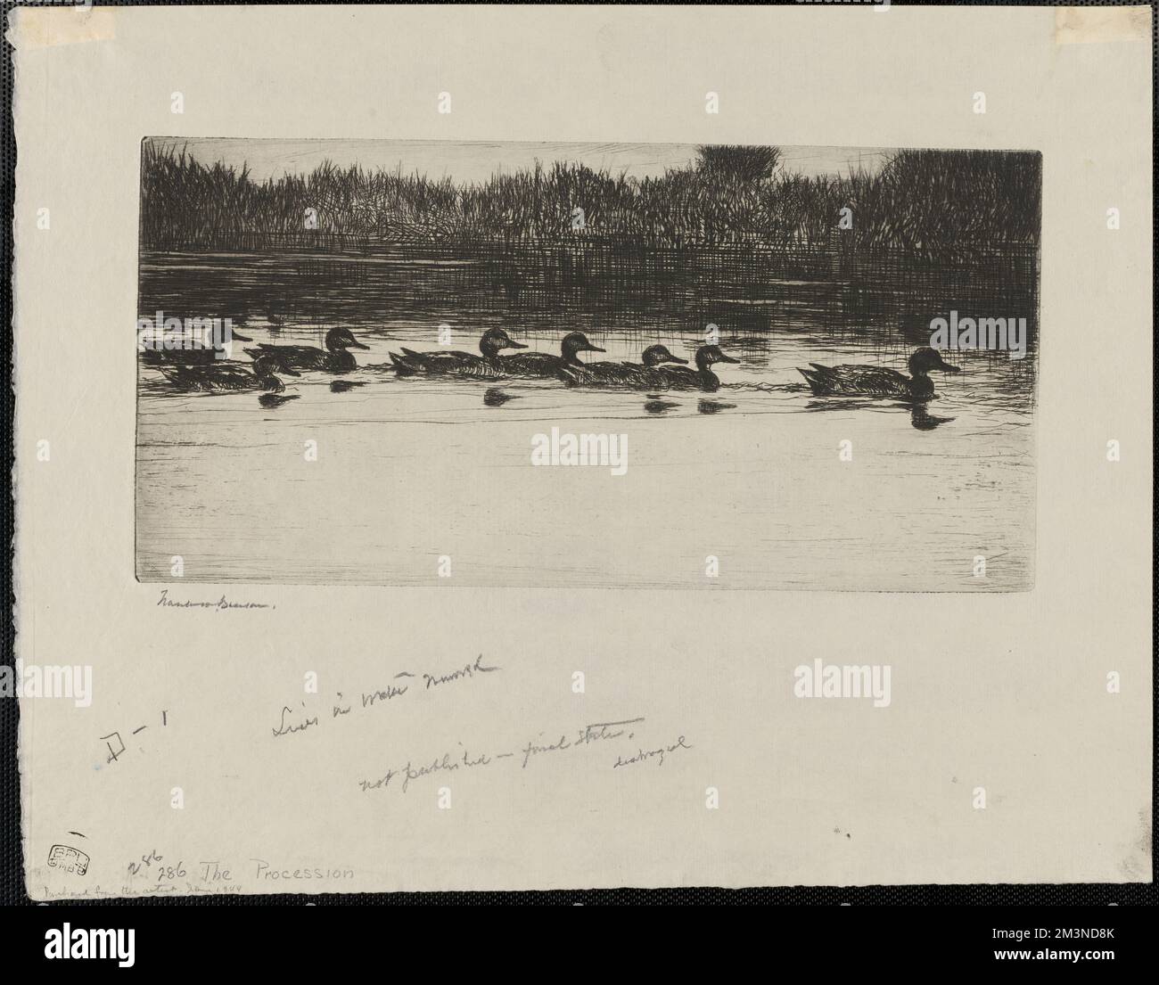 The procession , Ducks, Bodies of water, Grasses. Frank W. Benson (1862 ...