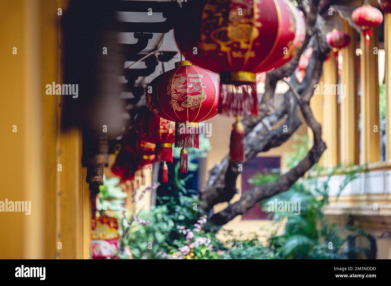 The Vietnamese paper lanterns at a Buddhist temple Stock Photo - Alamy