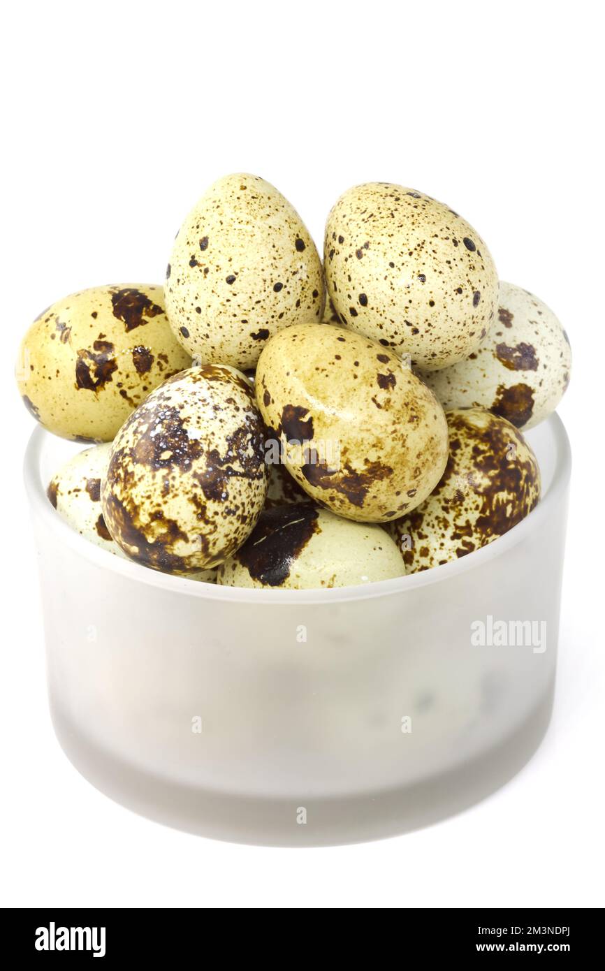 Quail eggs in a group, a delicacy with great taste qualities. Selective ...