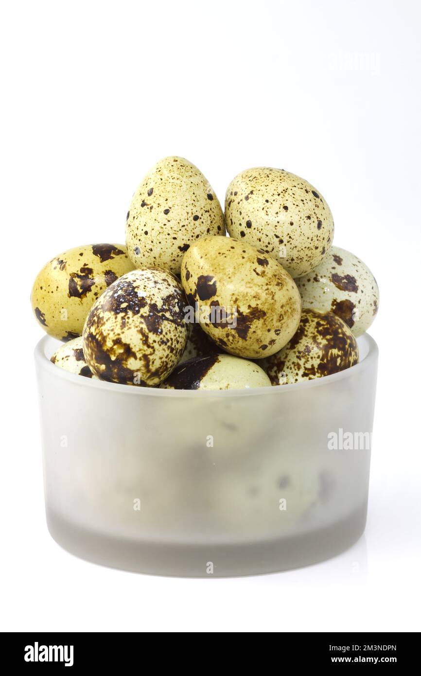 Quail eggs in a group, a delicacy with great taste qualities. Selective ...