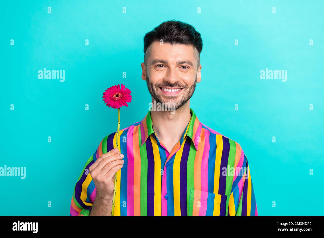 Portrait of positive man hand hold gerbera flower beaming smile ...