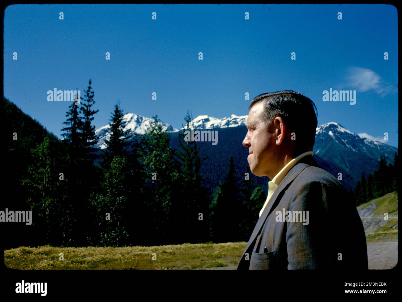 Profile view of man with trees and mountains in background, British ...