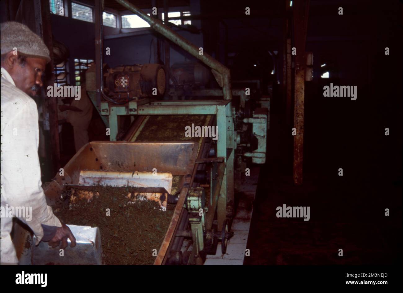 Tea Factory in Coonoor, Tamil Nadu.:- As with the orthodox method, the ...