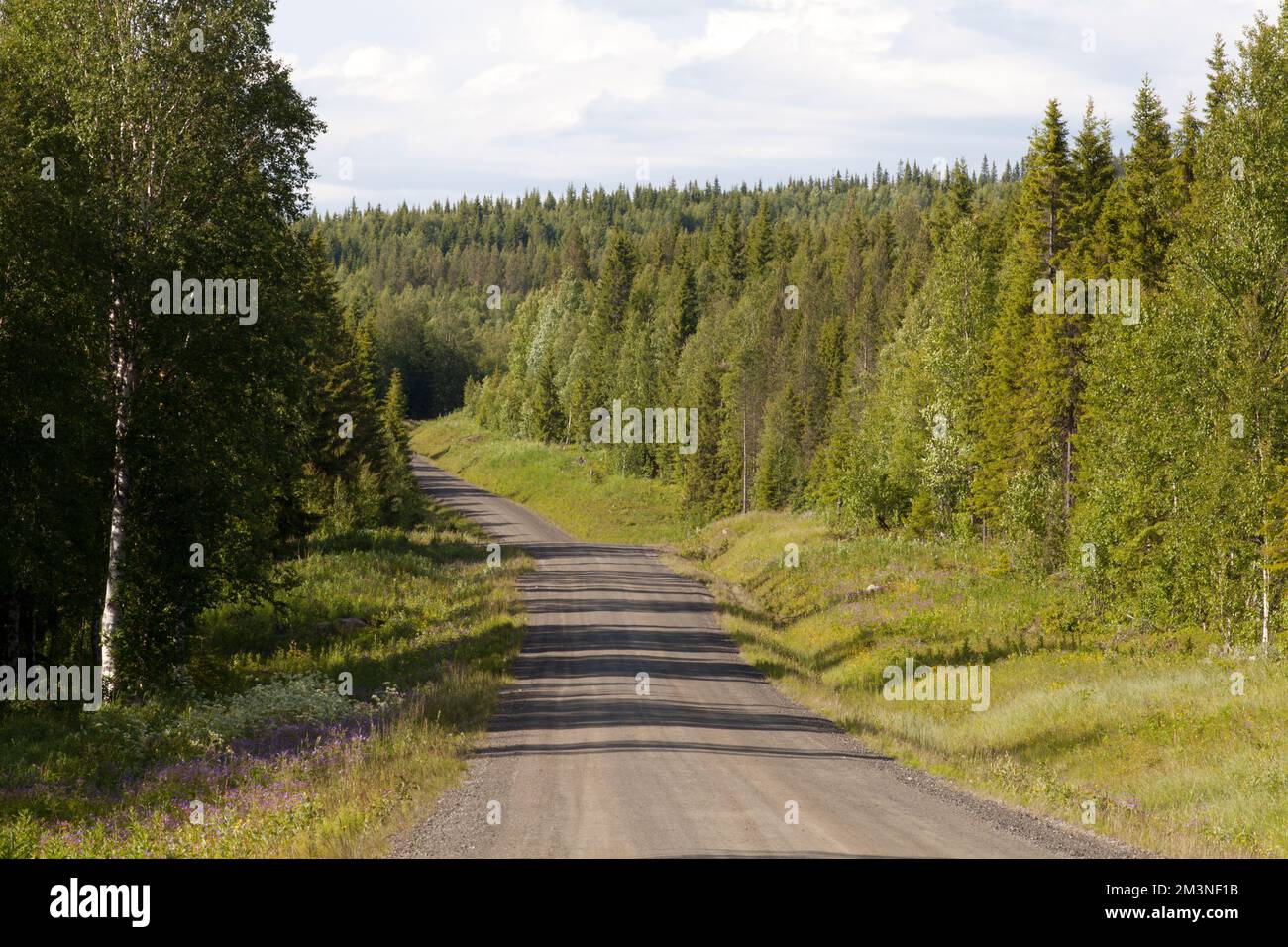 A gravel road through the hilly Nordic countryside. Hills, ridges, and ...