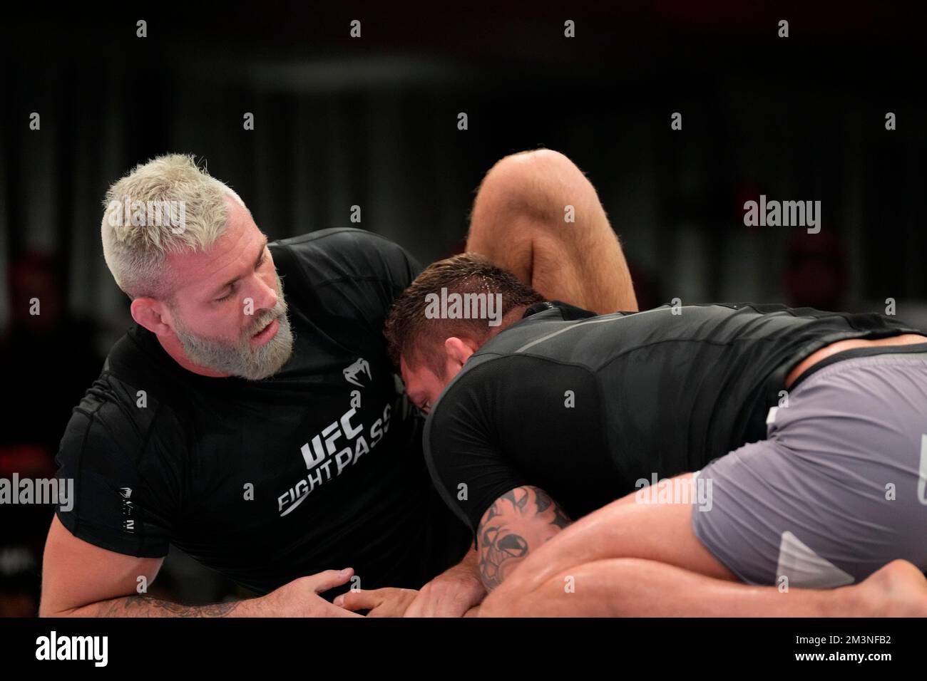 Gordan ryan 224lbs and nicky rodriguez 231lbs hi-res stock photography ...