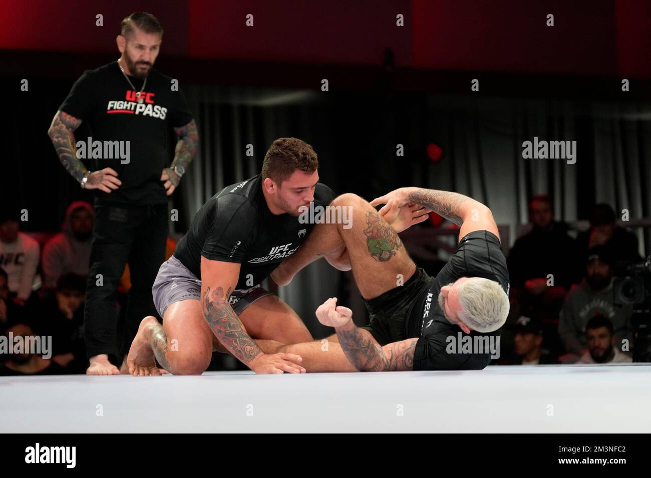 Gordan ryan 224lbs and nicky rodriguez 231lbs hi-res stock photography ...