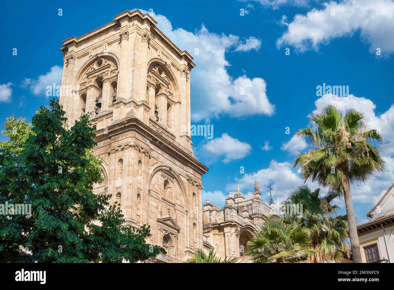 The Bell tower of the Basilica Cathedral of Granada of Renaissance and ...