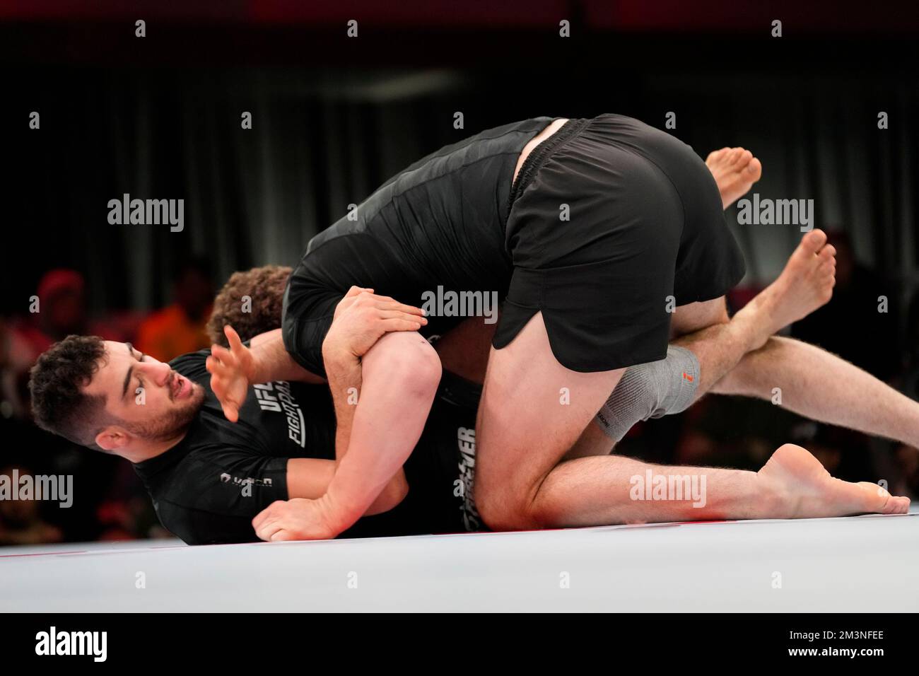 Luke griffith vs oliver taza hi-res stock photography and images - Alamy