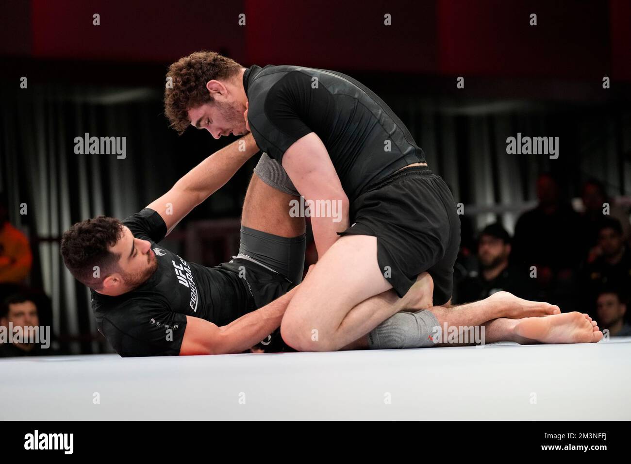Luke griffith vs oliver taza hi-res stock photography and images - Alamy