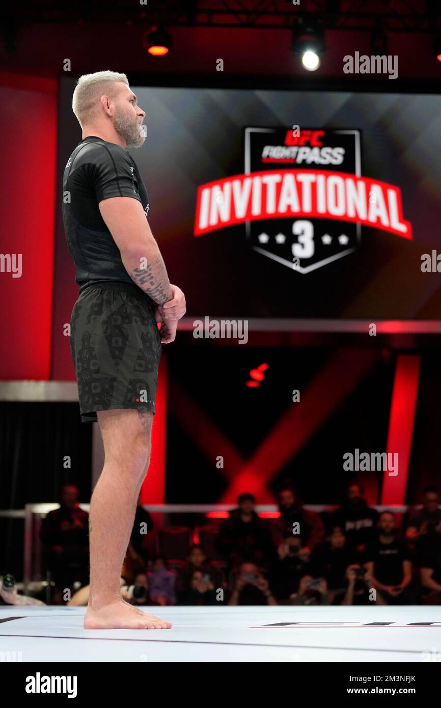 Ultimate fighting champ hi-res stock photography and images - Alamy