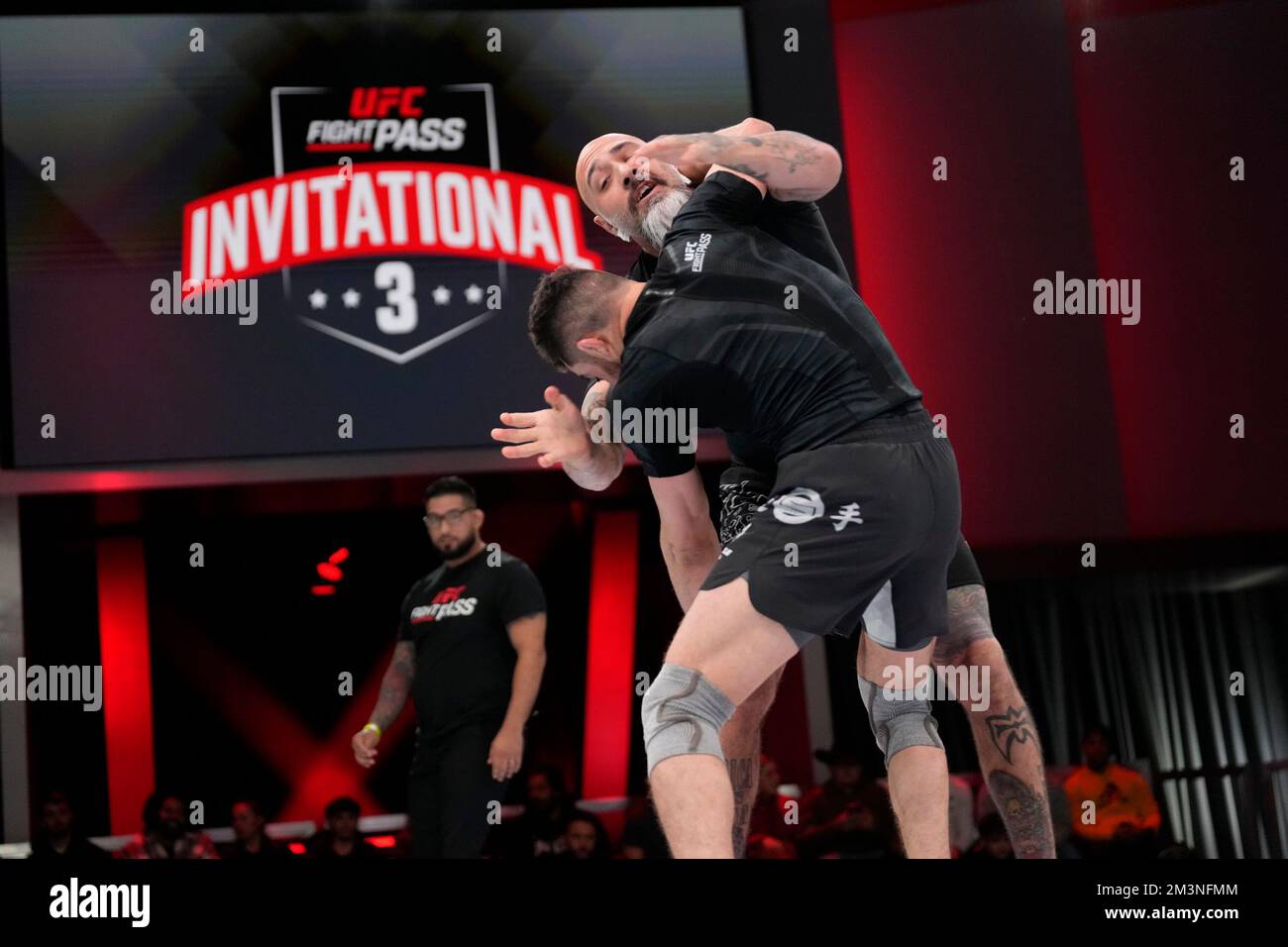 Ultimate fighting champ hi-res stock photography and images - Alamy