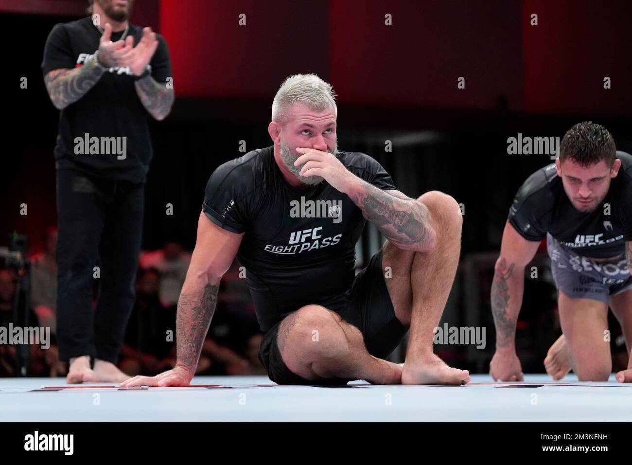 Ultimate fighting champ hi-res stock photography and images - Alamy