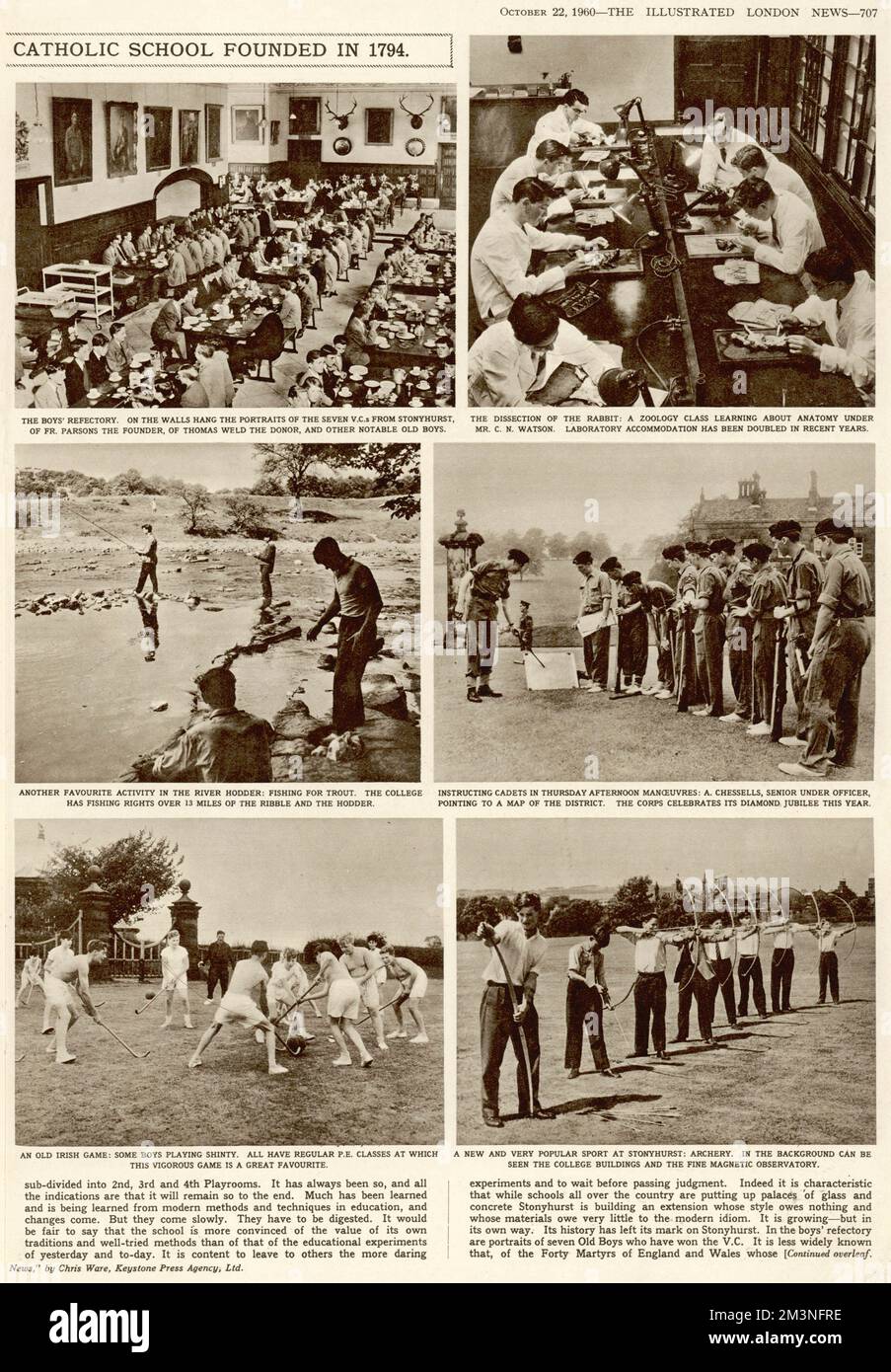 Science school dissection hi-res stock photography and images - Alamy