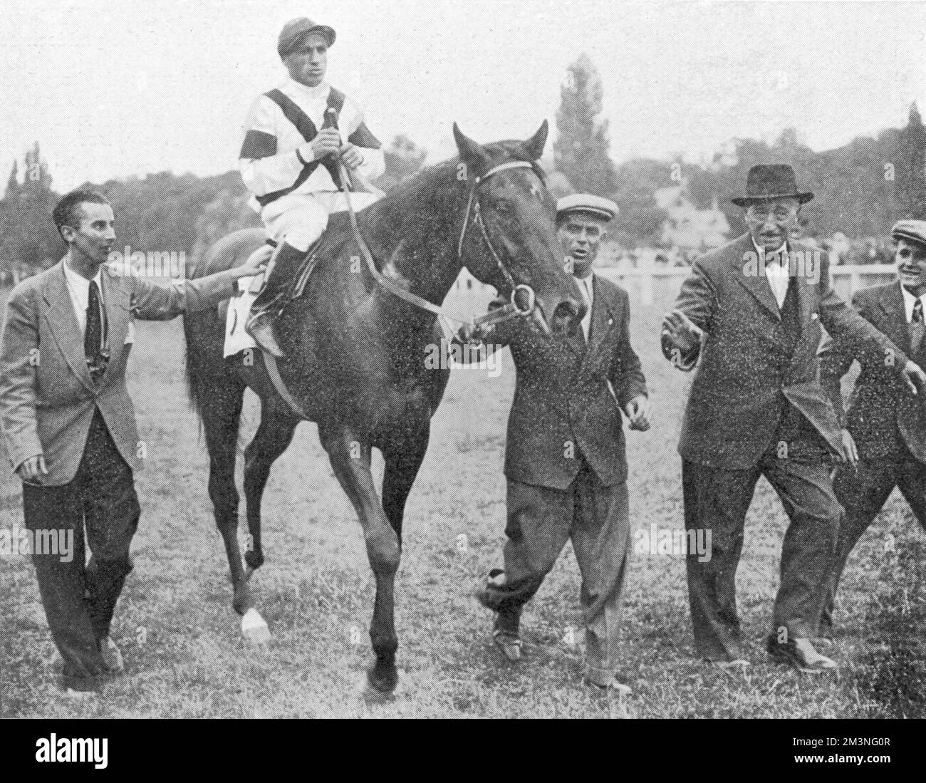 Sire horse hi-res stock photography and images - Alamy
