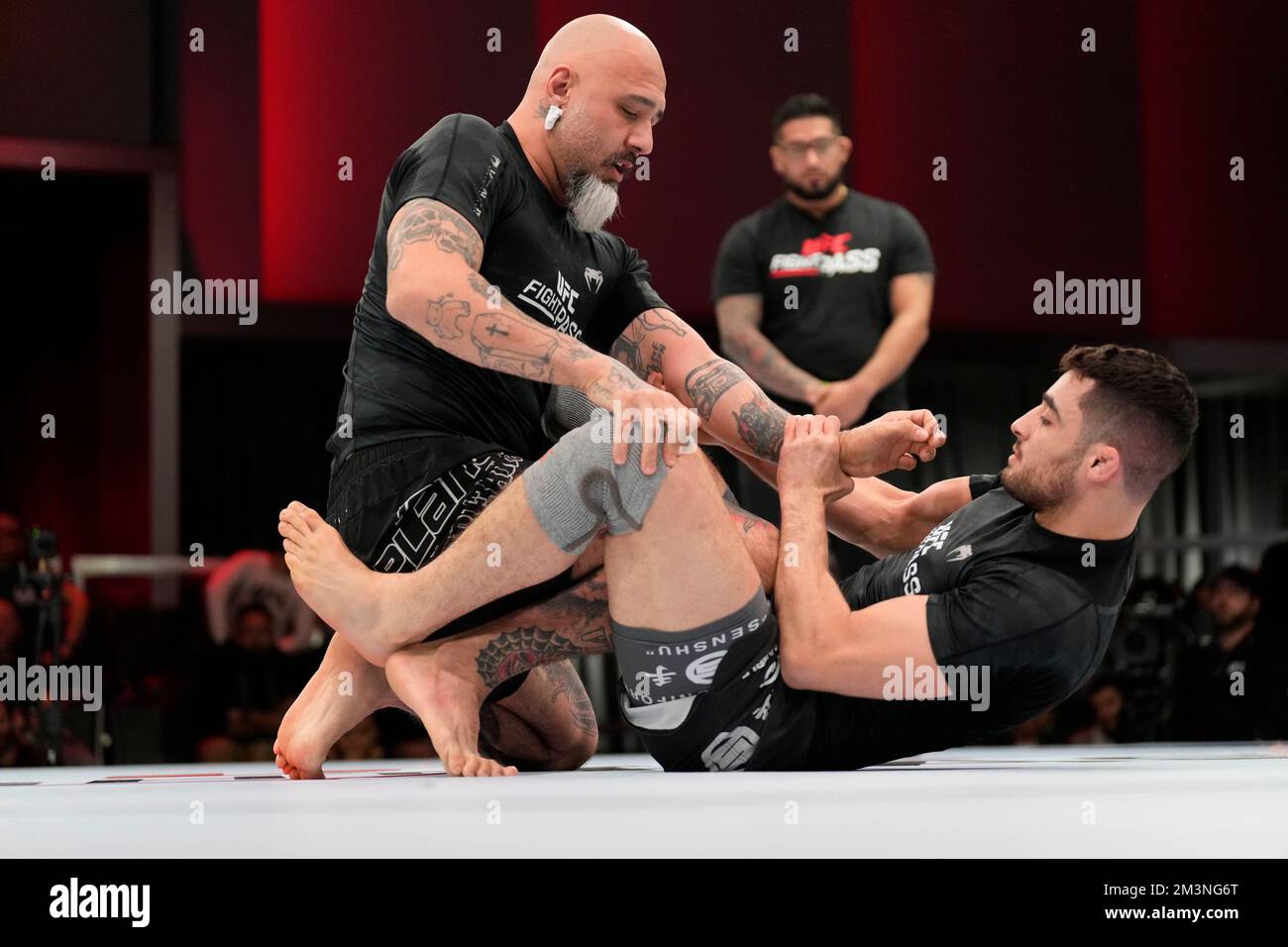 Ultimate fighting champ hi-res stock photography and images - Alamy