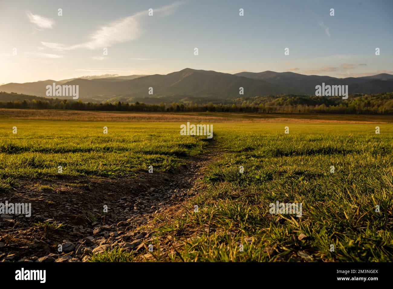 Faint Trail Cuts Across Grassy Field In Cades Cove in the Smokies Stock ...