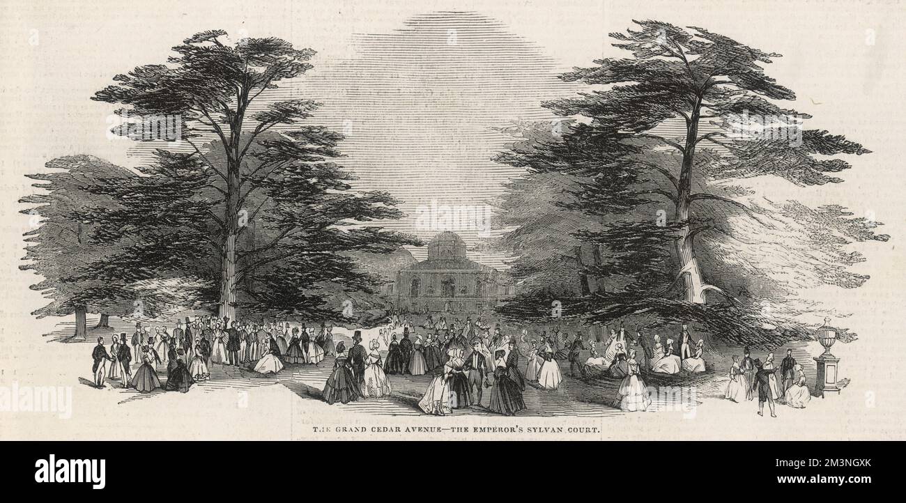 The Grand Cedar Avenue during the Duke of Devonshire's grand fete at ...