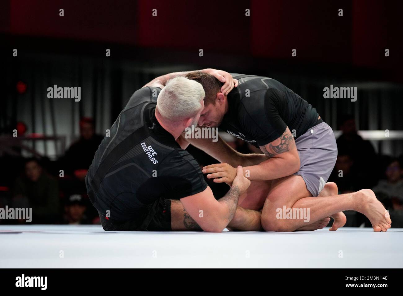 Ultimate fighting champ hi-res stock photography and images - Alamy