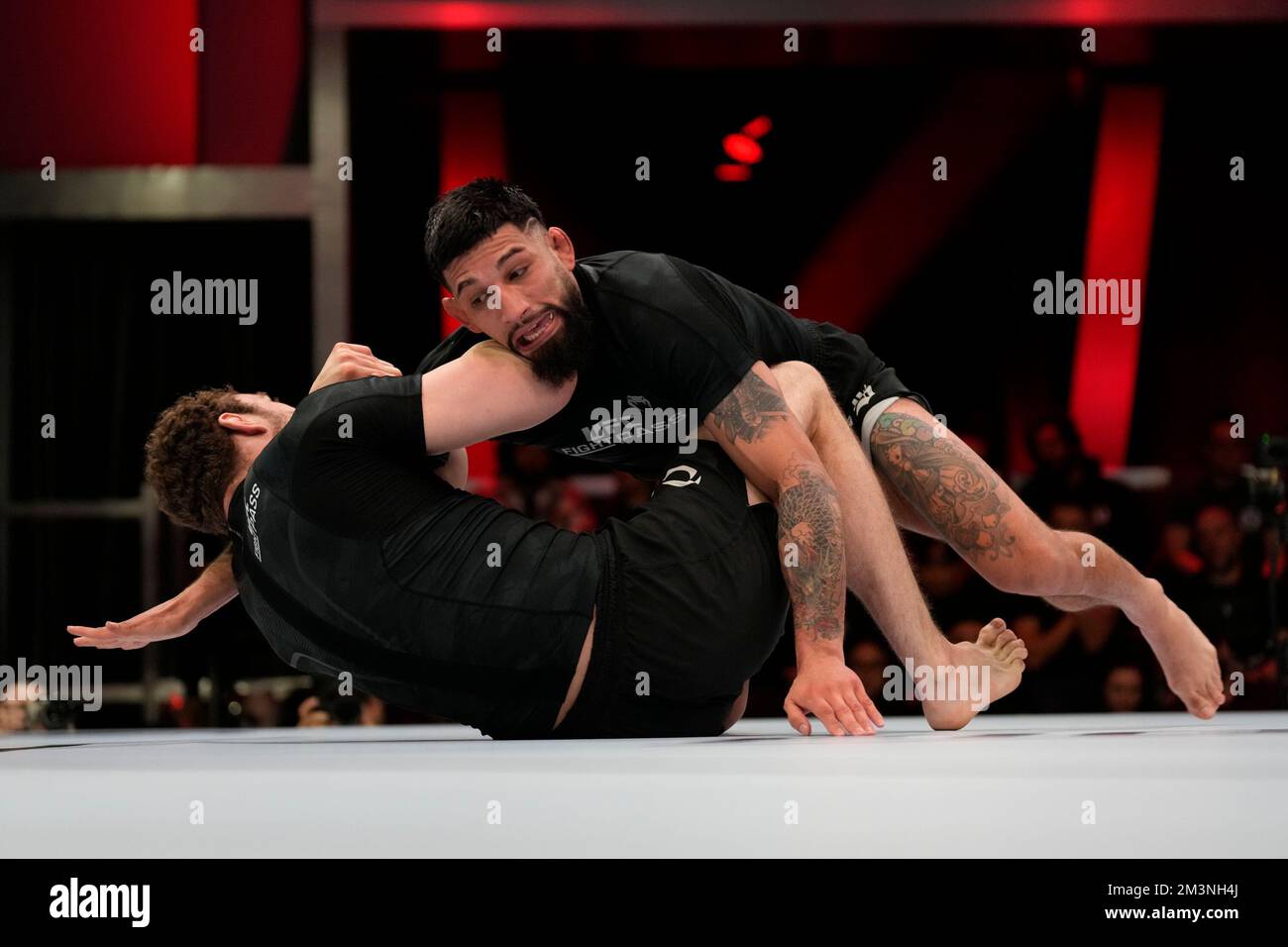 Mason fowler 225lb and pat shahgholi 253lbs hi-res stock photography ...