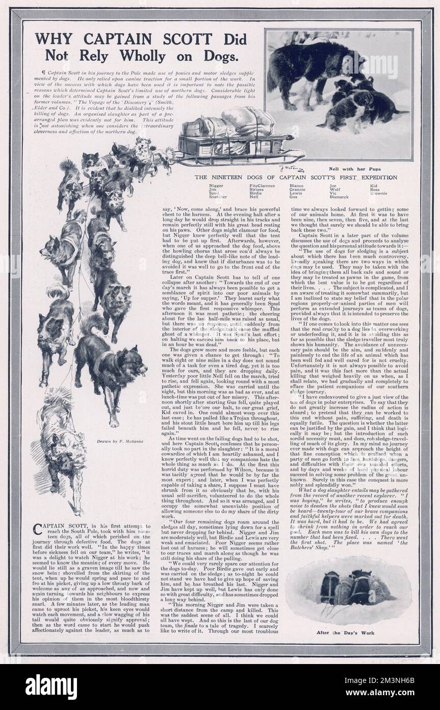 Scott dogs antarctic hi-res stock photography and images - Alamy