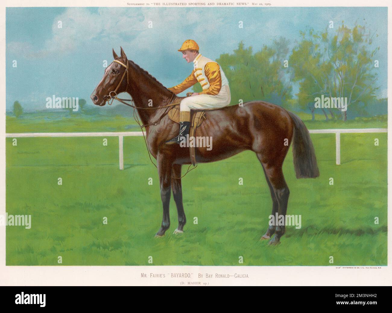 Danny maher hi-res stock photography and images - Alamy