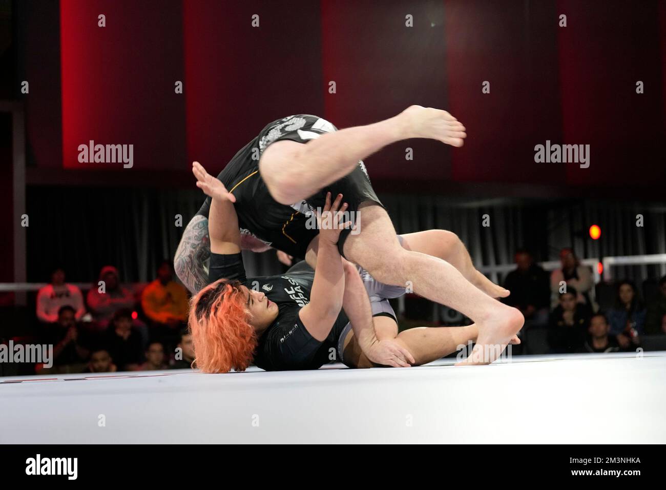 235lbs hi-res stock photography and images - Alamy