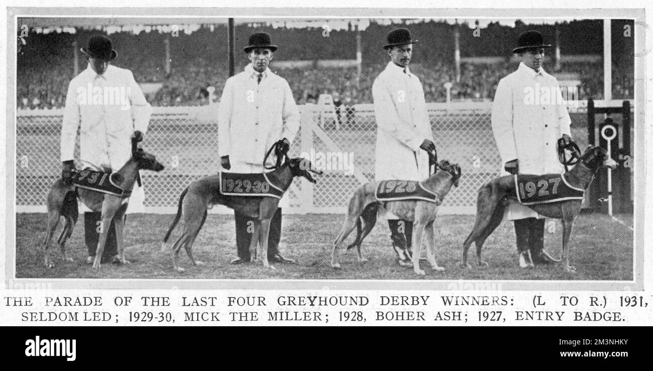 Four Greyhound Derby winners Stock Photo - Alamy