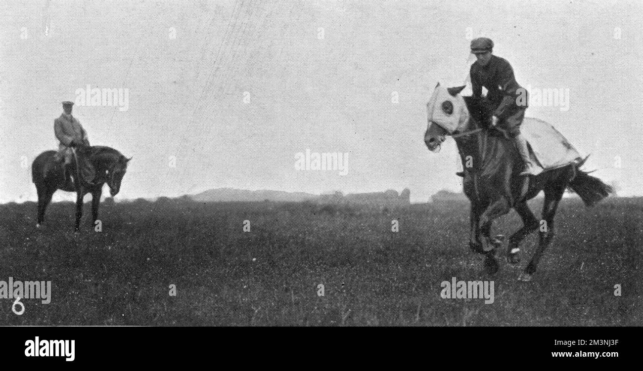 Watching Bayardo at exercise Stock Photo - Alamy