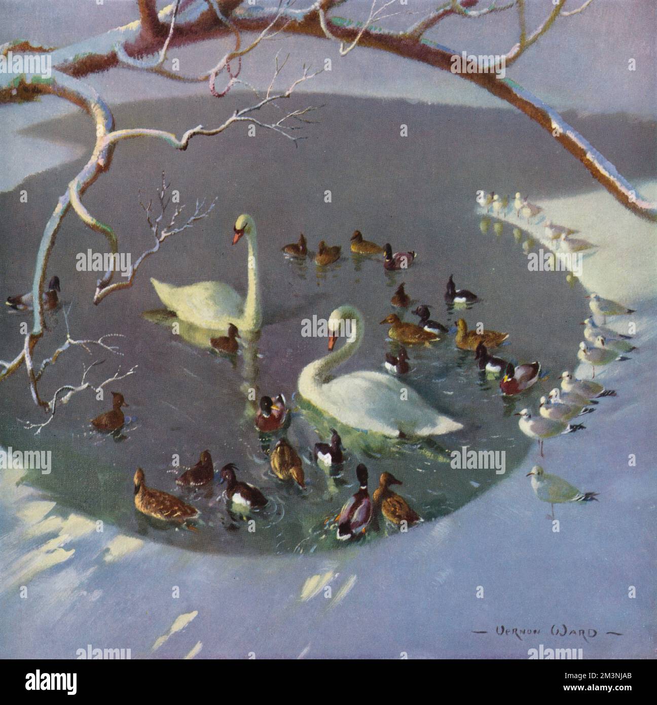 Ward circle hi-res stock photography and images - Alamy