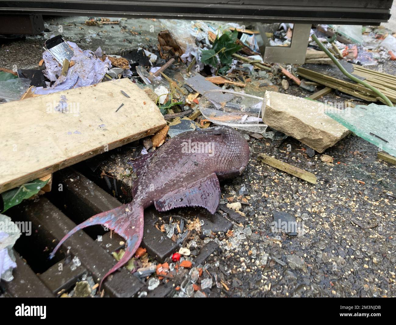 Aquadome hi-res stock photography and images - Alamy