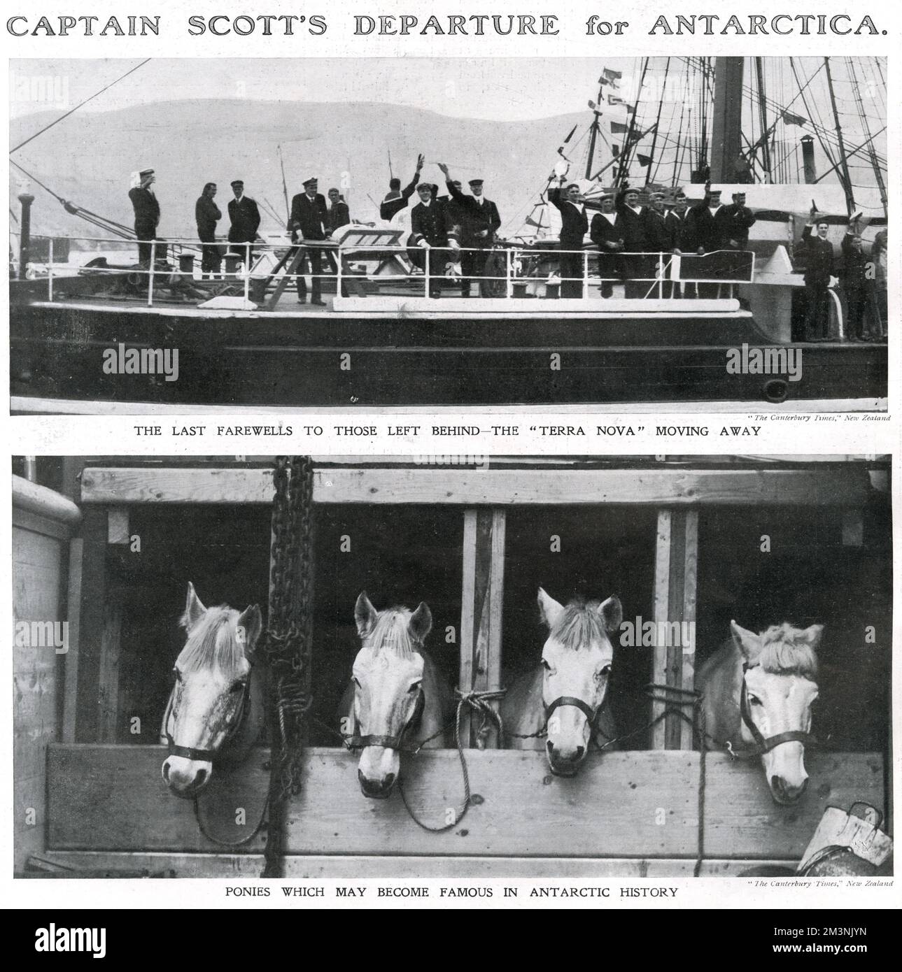 Scotts expedition ponies Cut Out Stock Images & Pictures - Alamy