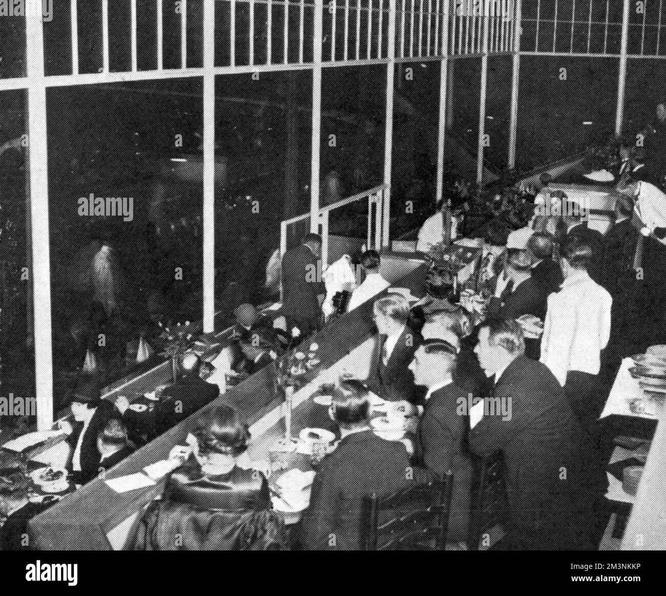 Greyhound dogs racing Black and White Stock Photos & Images - Alamy