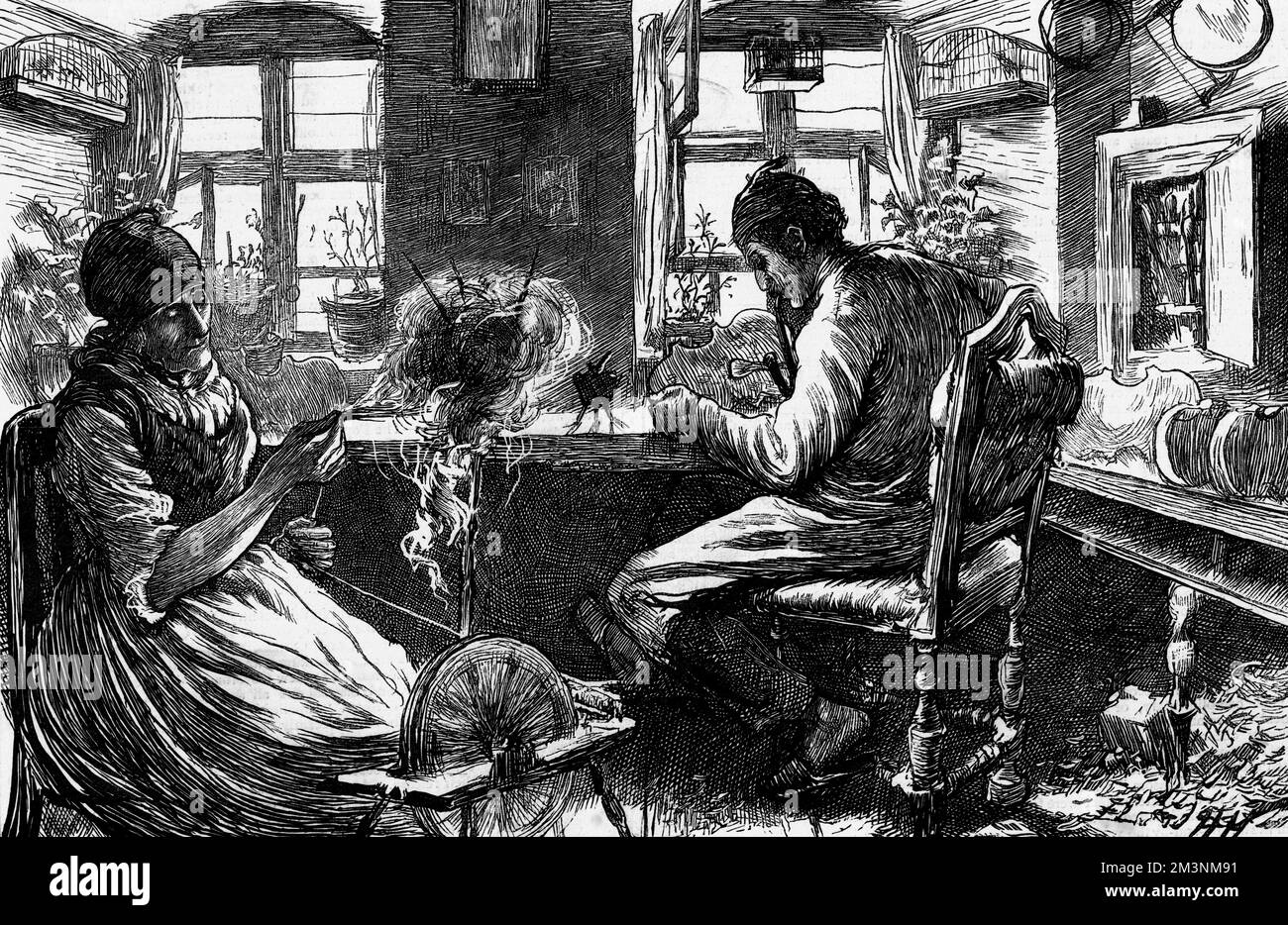 History of violin making hi-res stock photography and images - Alamy
