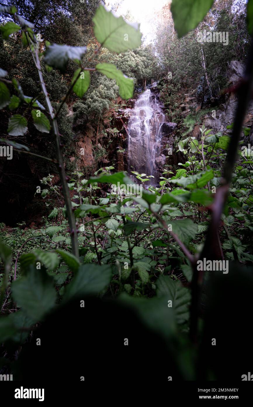 A vertical shot of a cascading rocky waterfall in the rainforest Stock ...