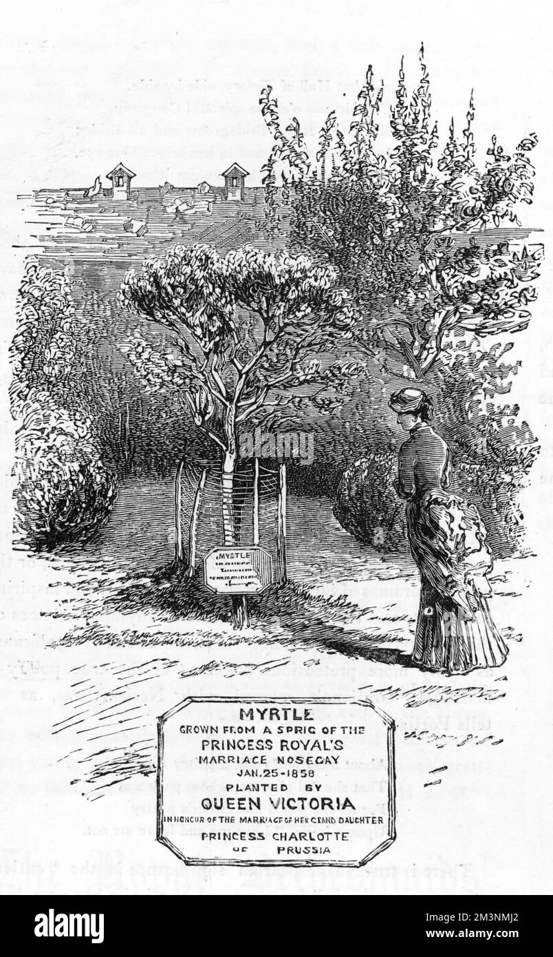 Grown from Black and White Stock Photos & Images - Alamy