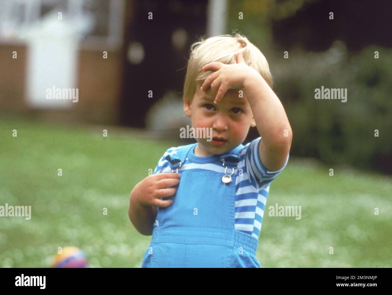 Prince William of Wales Stock Photo - Alamy