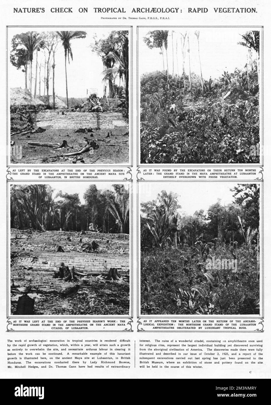 1920s archaeology hi-res stock photography and images - Alamy