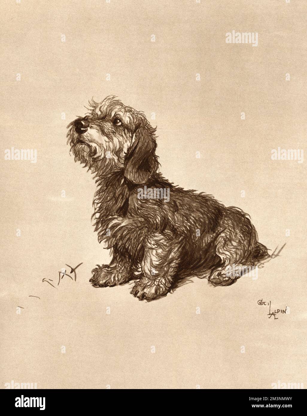 Meek Mill Drawing In Pencil