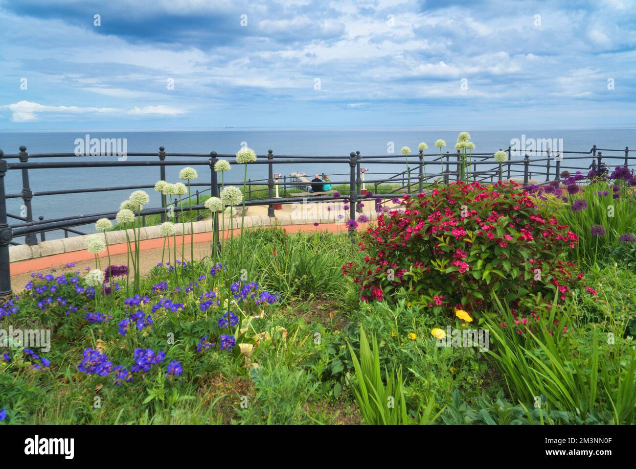 Visitors enjoying the sea air and view hi-res stock photography and ...