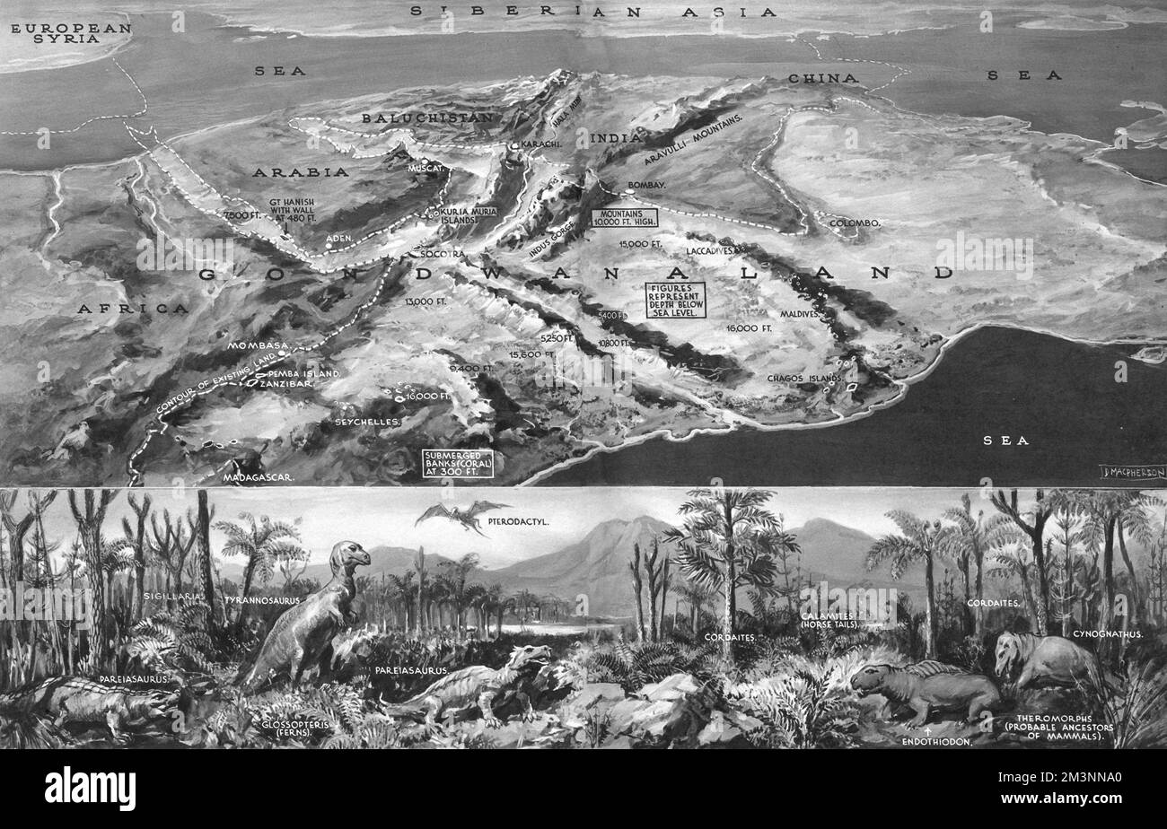 A pictoral map of the Gondwana continent as it probably appeared before ...