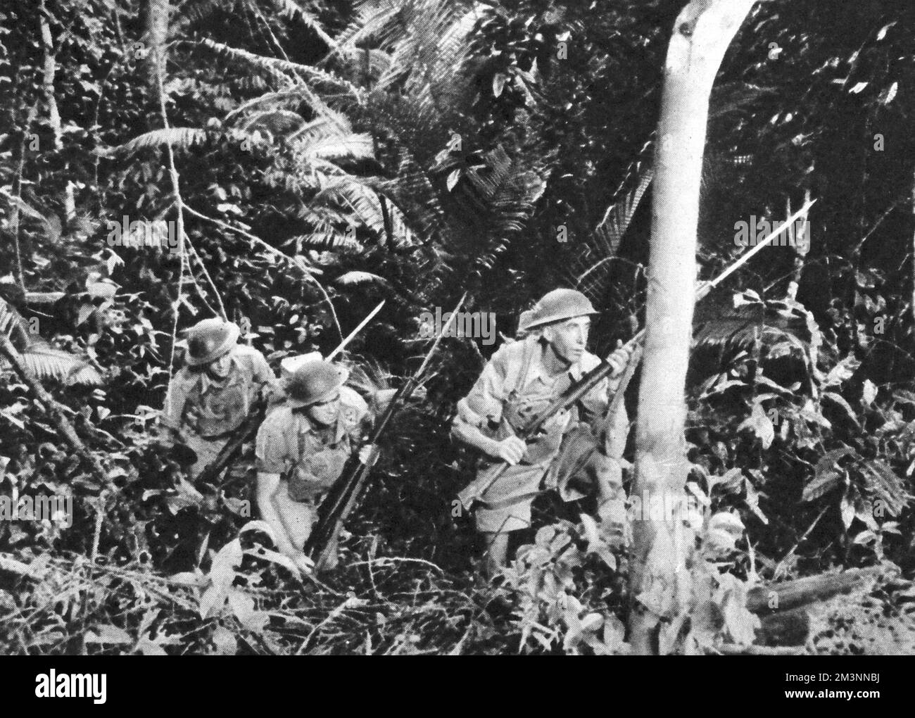 Malaysia train jungle Black and White Stock Photos & Images - Alamy