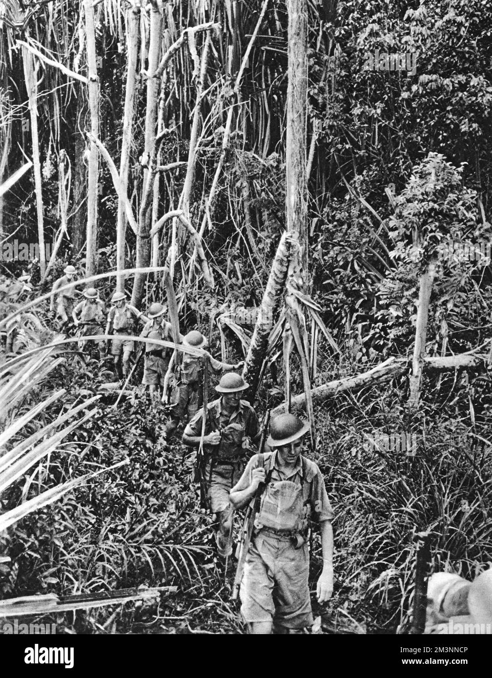 British army in malaya hi-res stock photography and images - Alamy