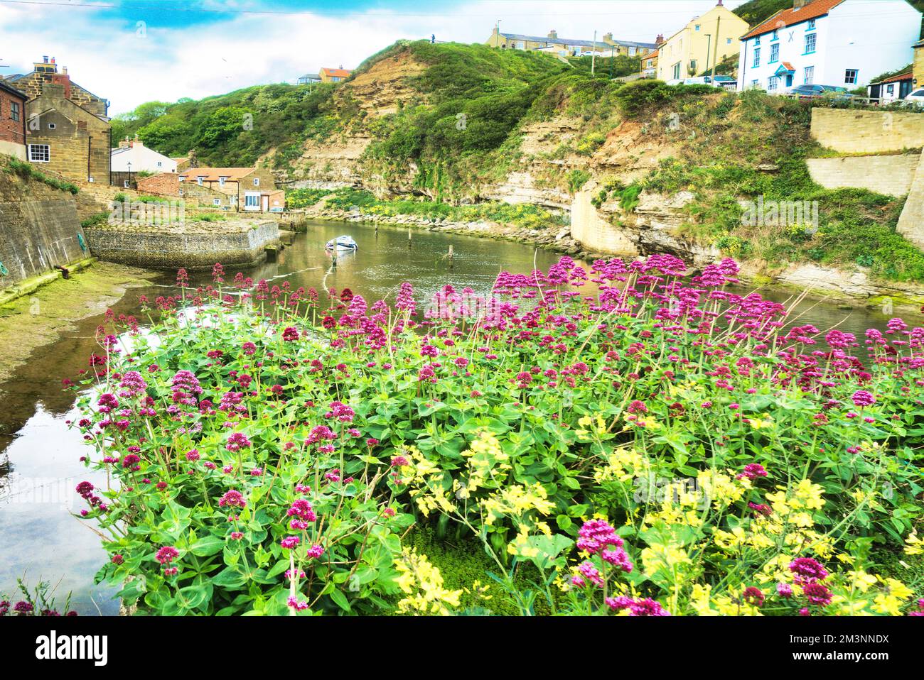 Looking west up Staithes Beck (river) at the quaint ancient fishing ...