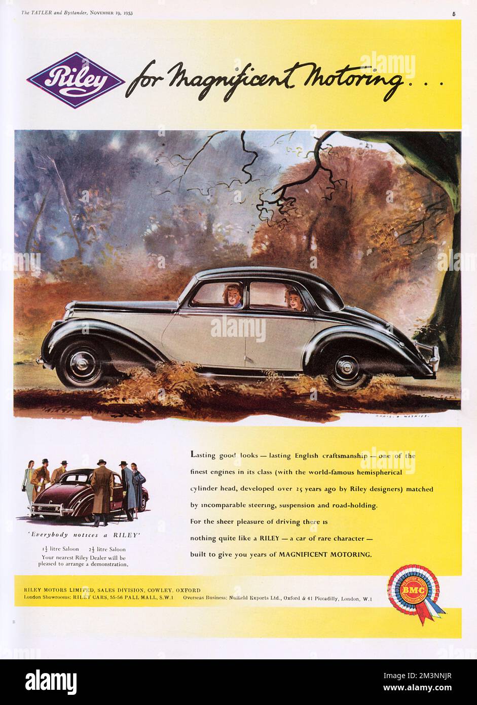 Riley car advertisement, 1953 Stock Photo - Alamy