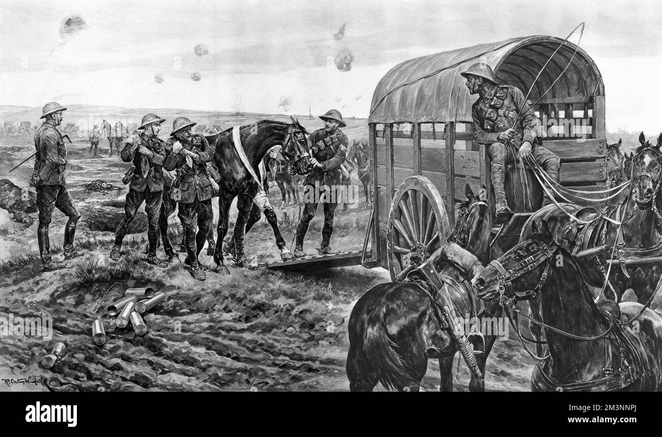 First horse drawn ambulance hi-res stock photography and images - Alamy