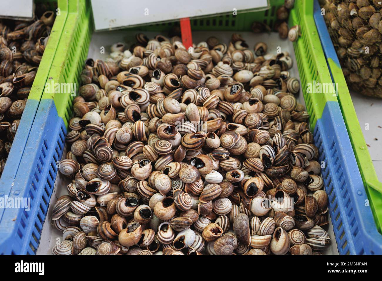 Raw Snails for Sale at the Market Stall Stock Photo - Alamy