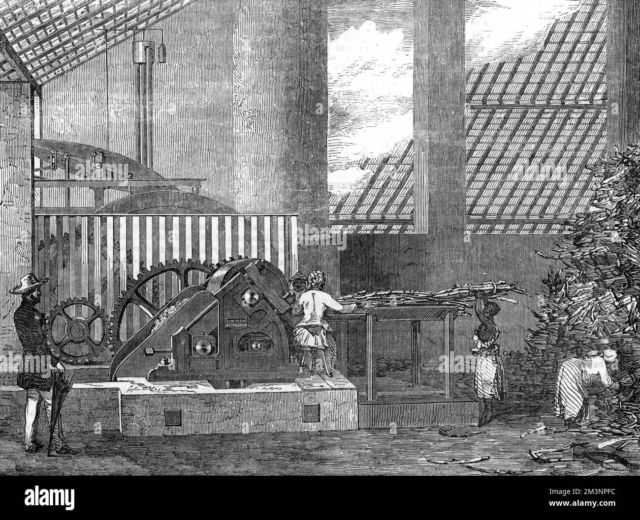 De Mornay's patent sugar-mill, Brazil 1854 Stock Photo - Alamy