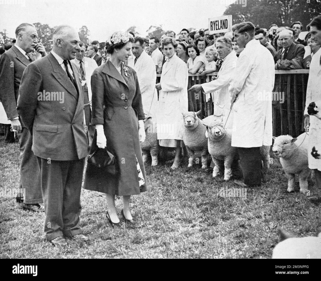 The Queen inspects prizewinning sheep Stock Photo - Alamy