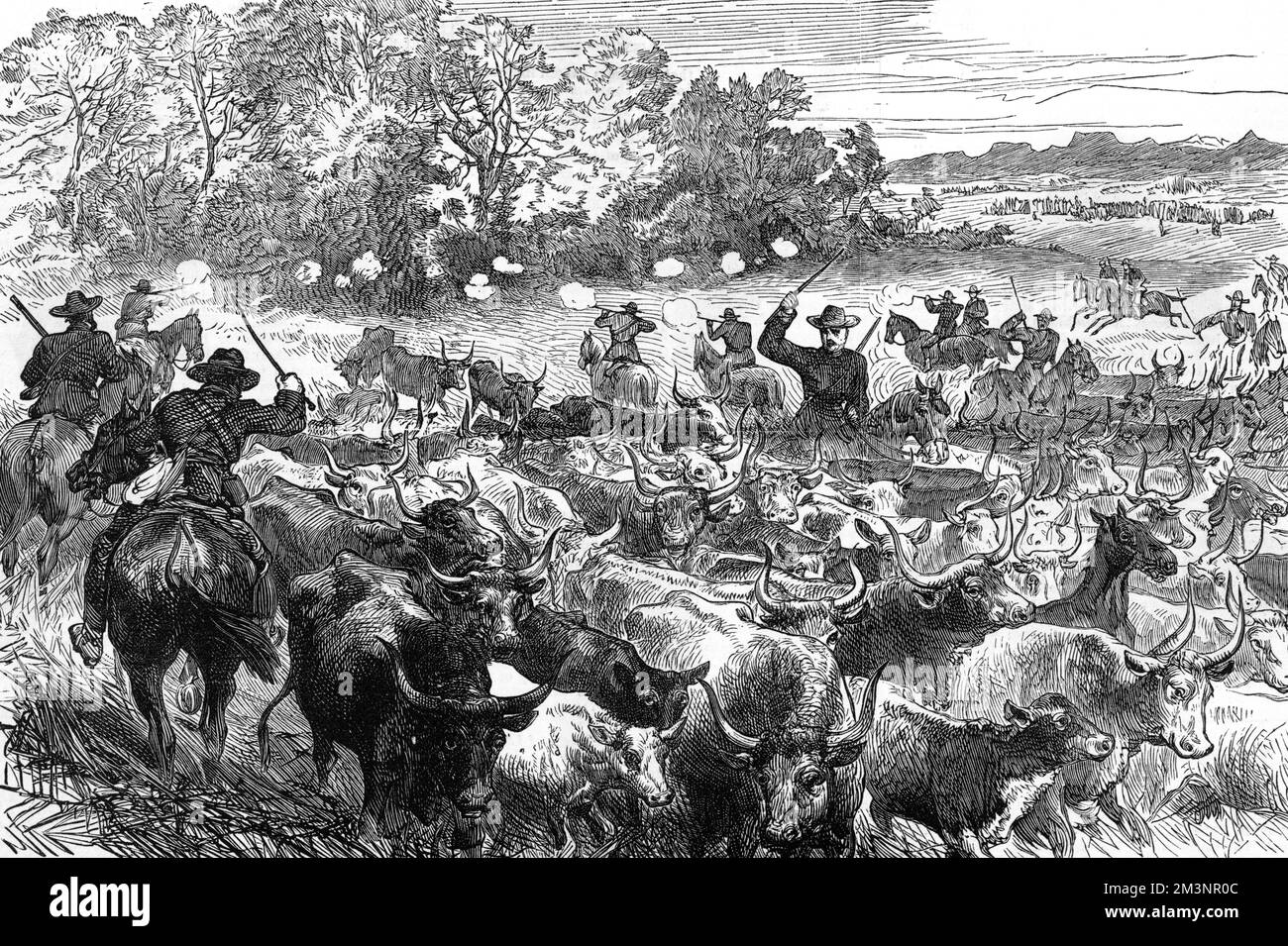 1880 gun hi-res stock photography and images - Alamy